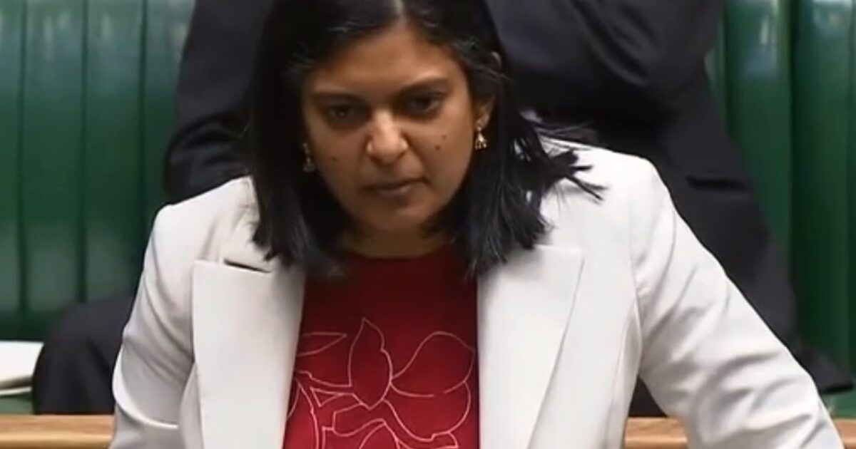 The Garden Bridge fiasco. - Rupa Huq MP